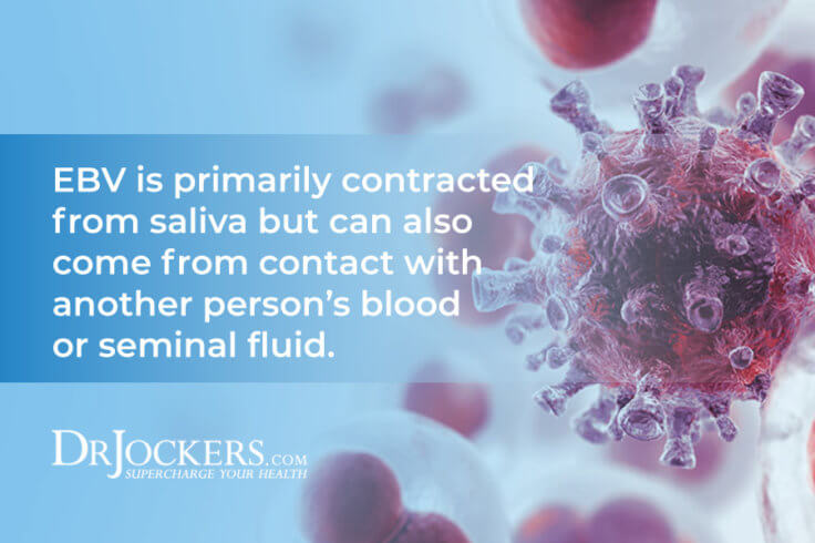 Epstein Barr Virus: Symptoms, Causes and Support Strategies