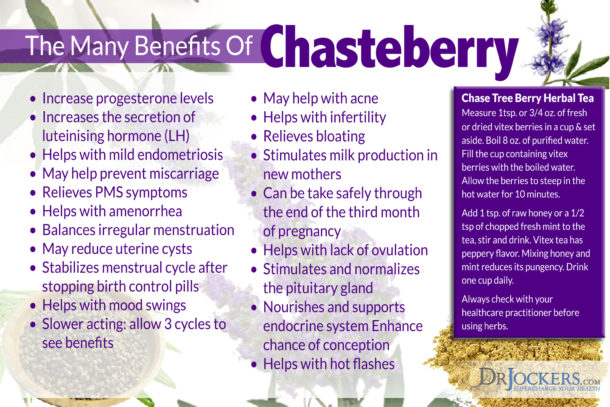 6 Benefits Of Chasteberry For PMS - DrJockers.com