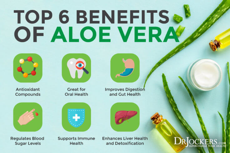 6 Benefits Of Aloe + 5 Uses For The Skin - DrJockers.com