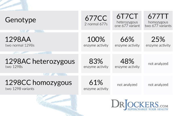 What is the MTHFR Gene Mutation and Its Role in Health?