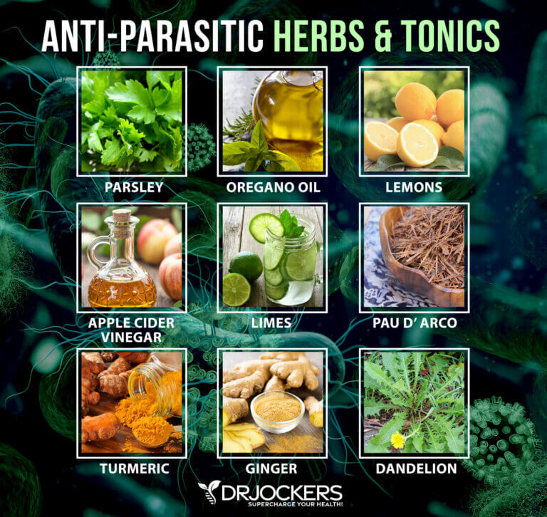 12 Herbs That Kill Parasites Naturally - DrJockers.com
