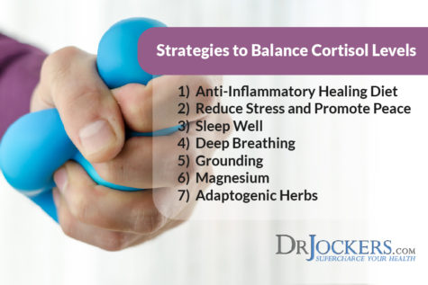 7 Ways To Balance Cortisol Levels - DrJockers.com