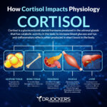 7 Ways To Balance Cortisol Levels - DrJockers.com