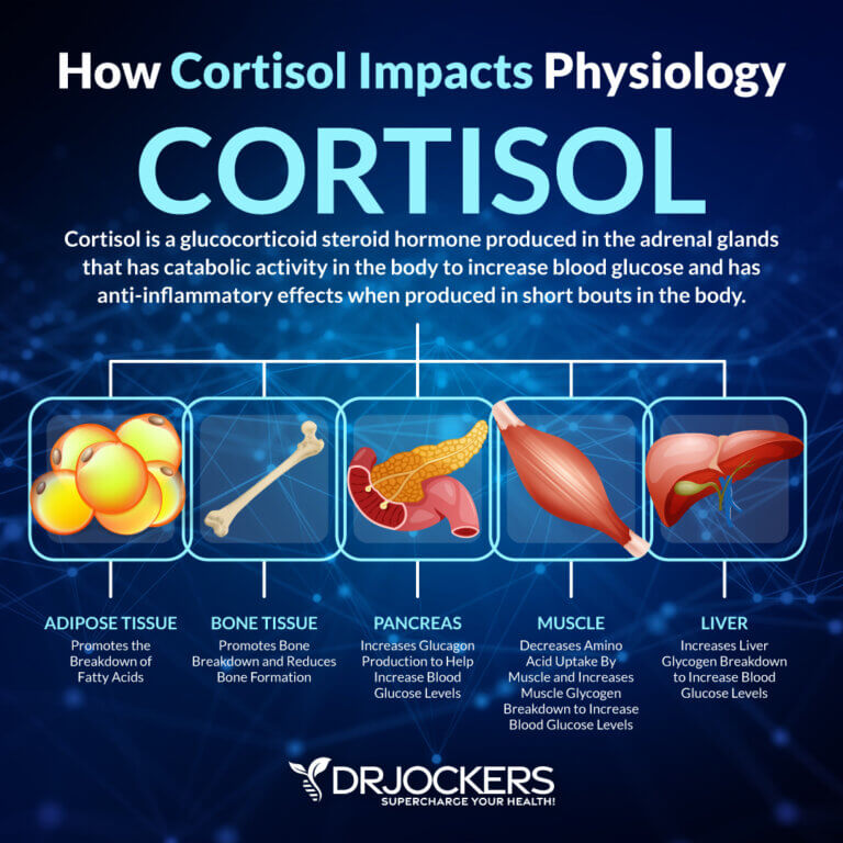 7 Ways To Balance Cortisol Levels - DrJockers.com