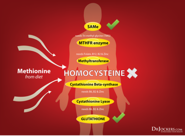 What is the MTHFR Gene Mutation and Its Role in Health?