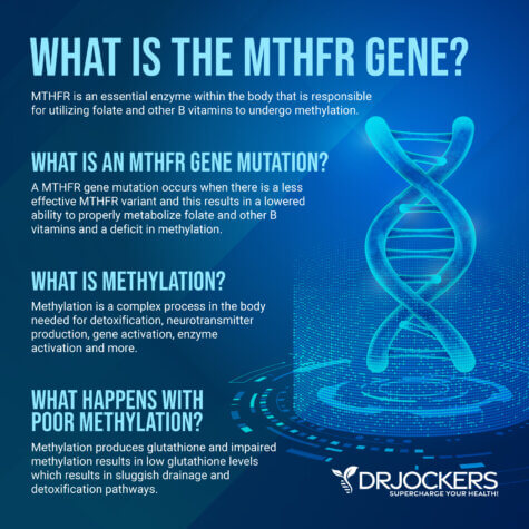 What is the MTHFR Gene Mutation and Its Role in Health?