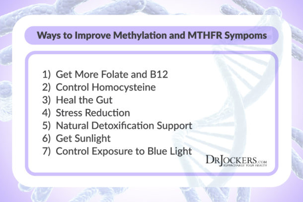What is the MTHFR Gene Mutation and Its Role in Health?