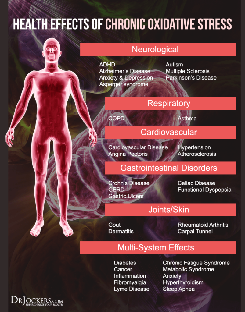 Spectracell Micronutrient Testing - DrJockers.com