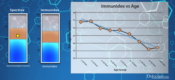 Spectracell Micronutrient Testing - DrJockers.com