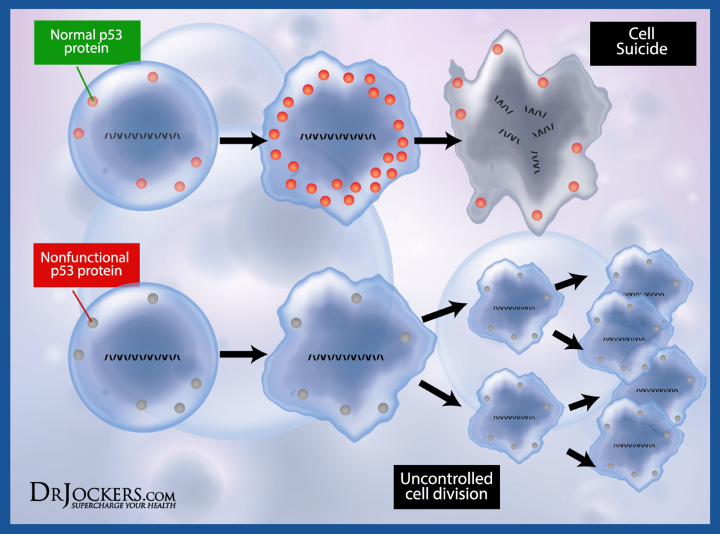 How Sugar Feeds Cancer Growth - DrJockers.com