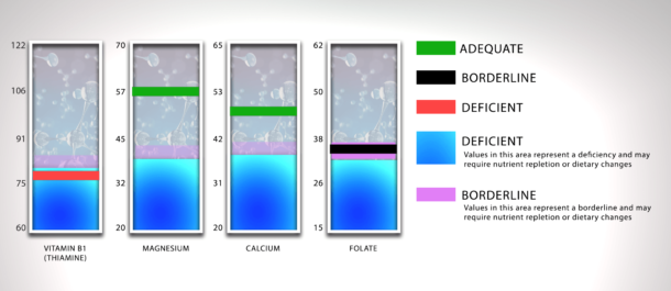 Spectracell Micronutrient Testing - DrJockers.com