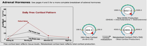 DUTCH Test - DrJockers.com