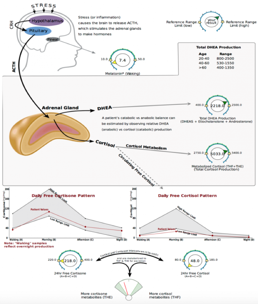 DUTCH Test - DrJockers.com