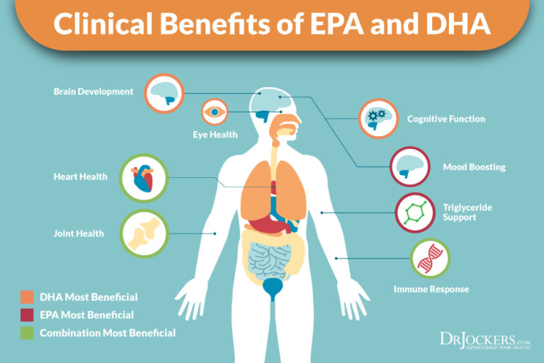Top 8 Health Benefits of Omega 3 Fatty Acids - DrJockers.com