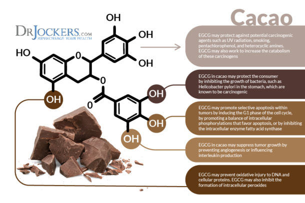 6 Ways to Use Chocolate on a Ketogenic Diet - DrJockers.com
