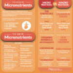 What Are Micronutrients and How to Test Your Levels? - DrJockers.com