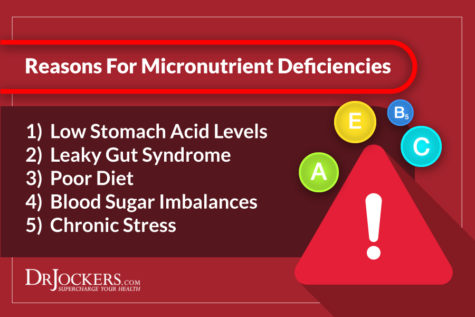 What Are Micronutrients and How to Test Your Levels? - DrJockers.com