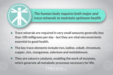 What Are Micronutrients and How to Test Your Levels?