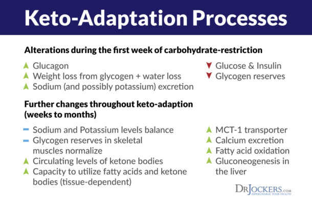 Keto Metabolic Makeover (Burn Fat for Fuel!) - DrJockers.com