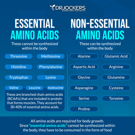 How Much Protein Should You Consume Daily? - DrJockers.com