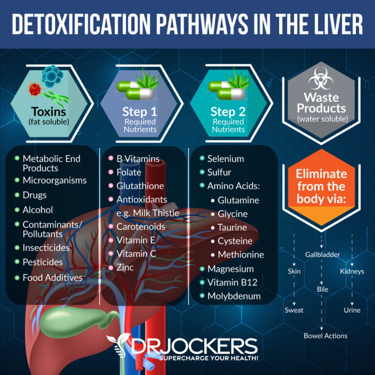 The 16 Best Foods for Liver Health - DrJockers.com