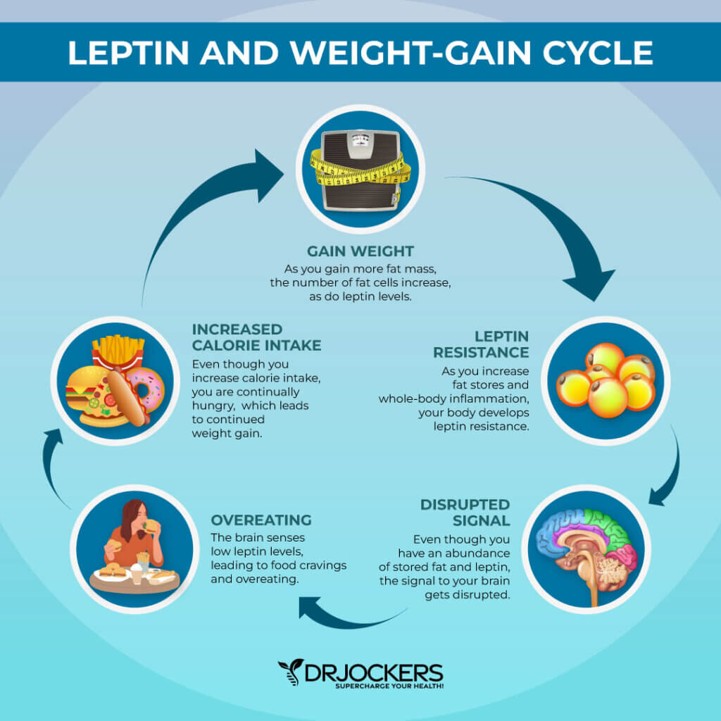 Leptin Resistance: Symptoms, Causes and Support Strategies