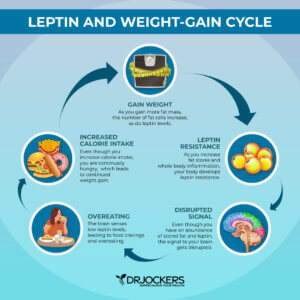 Leptin Resistance: Symptoms, Causes and Support Strategies
