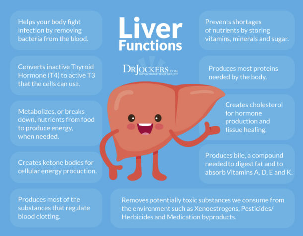 The 16 Best Foods for Liver Health - DrJockers.com