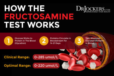 The 9 Best Ways to Test Blood Sugar Levels - DrJockers.com