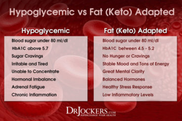 6 Ways A Ketogenic Diet Improves Brain Function - DrJockers.com