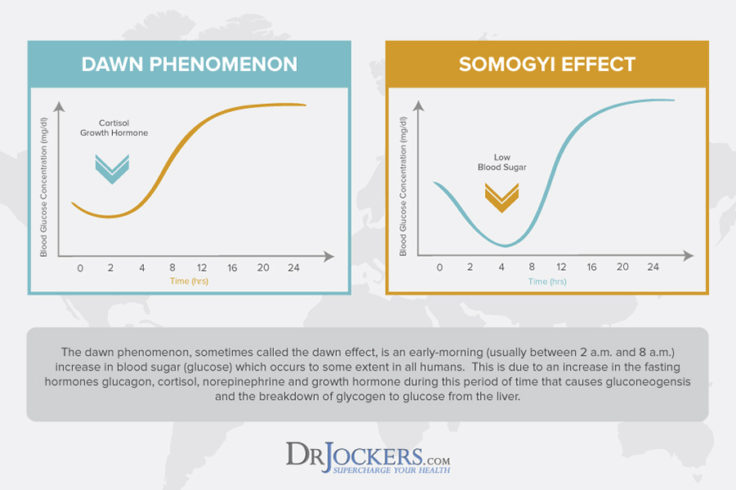High Fasting Blood Sugar on Keto? - DrJockers.com