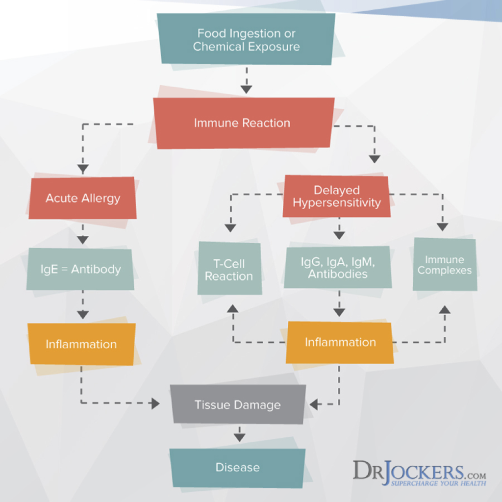 Food Sensitivity Complete IgG and C3D - DrJockers.com