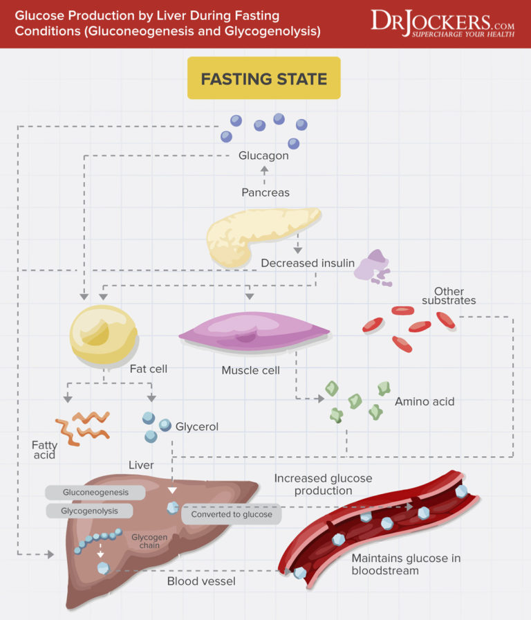 High Fasting Blood Sugar on Keto? - DrJockers.com