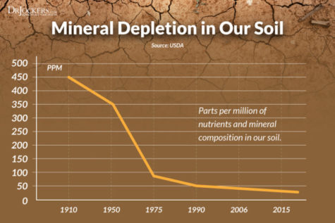 Dimethyl Sulfone (MSM): Top 5 Benefits & Uses - DrJockers.com