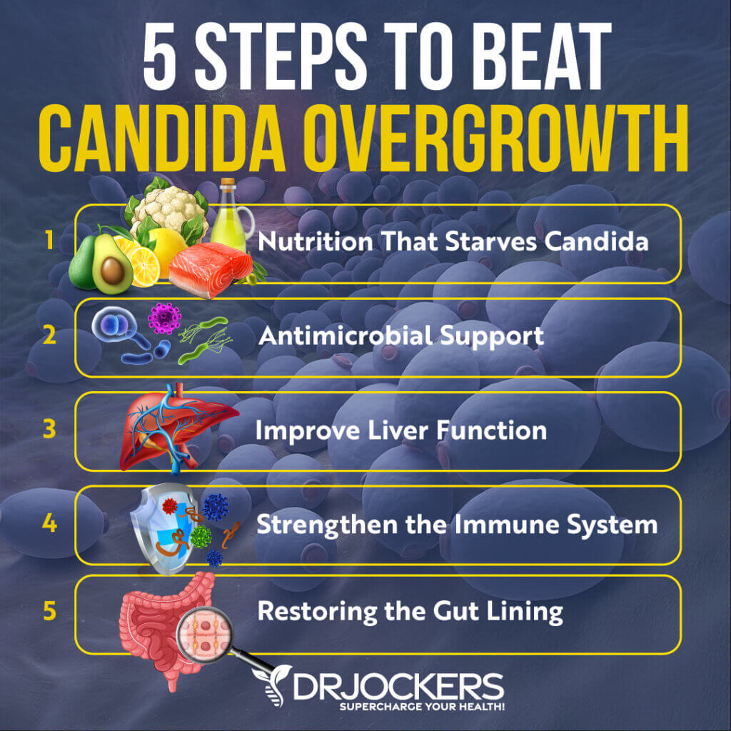 5 Crucial Steps to Heal Candida Naturally - DrJockers.com