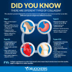 Collagen: 9 Reasons Why This Improves Your Health - DrJockers.com
