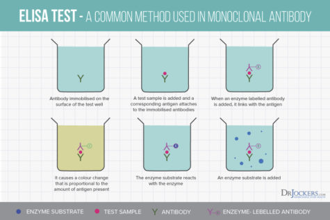 What is the Best Food Sensitivity Testing Method? - DrJockers.com