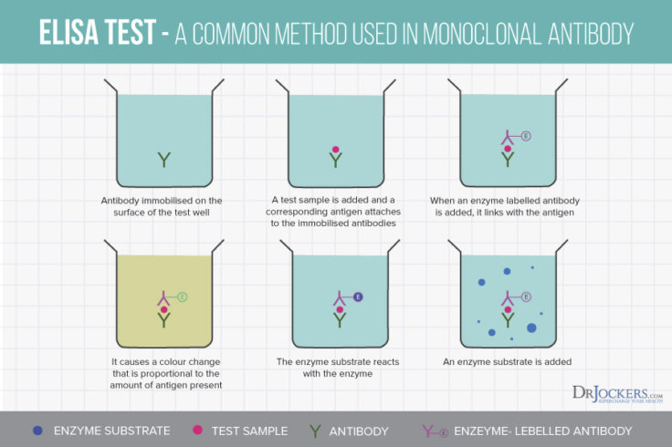 What is the Best Food Sensitivity Testing Method? - DrJockers.com