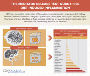 What is the Best Food Sensitivity Testing Method? - DrJockers.com