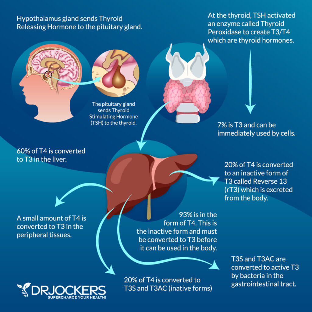 5 Natural Remedies For Thyroid Health - DrJockers.com