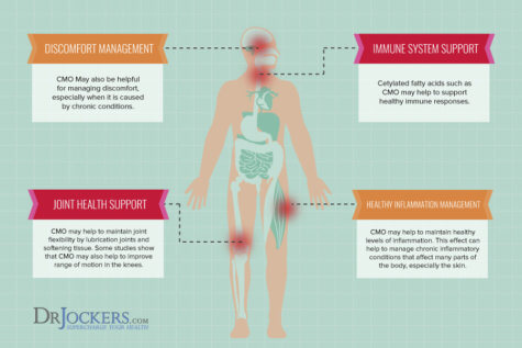 SCT Oil: Benefits for Brain and Gut Health - DrJockers.com