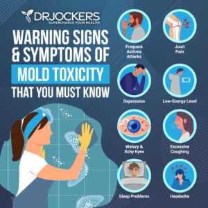 Limbic Retraining: 10 Strategies to Improve Limbic System Function