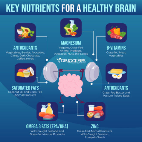 Brain Foods: Top 20 to Eat and What to Avoid - DrJockers.com