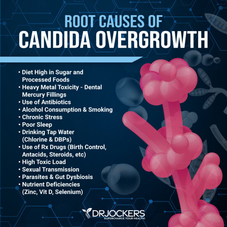 5 Crucial Steps to Heal Candida Naturally - DrJockers.com