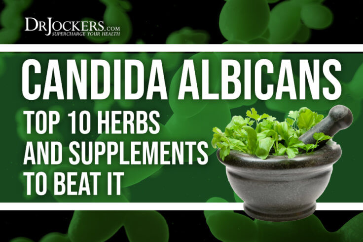 Candida Albicans: Top 10 Herbs and Supplements to Beat It