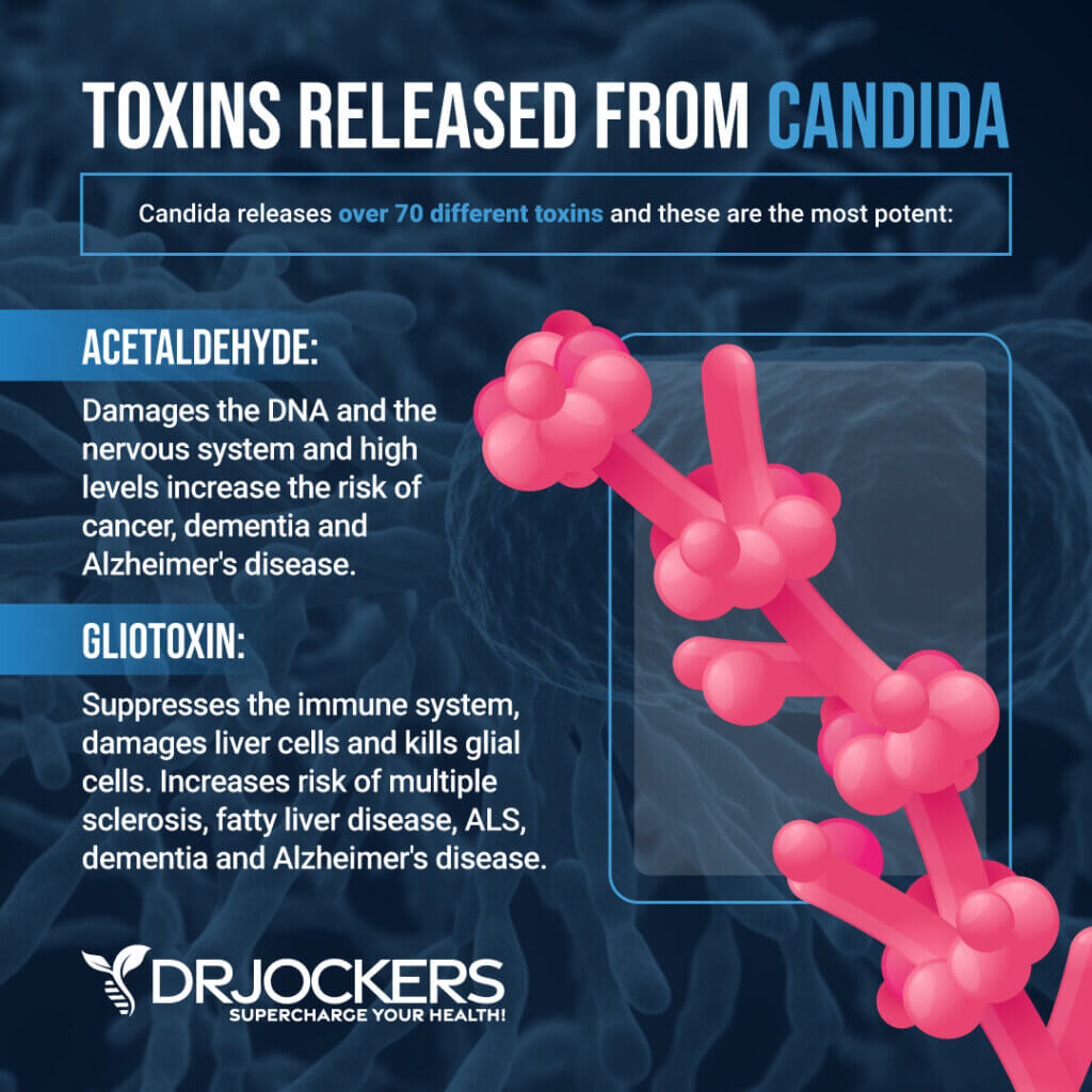 Candida Overgrowth: Best Home & Lab Tests - DrJockers.com