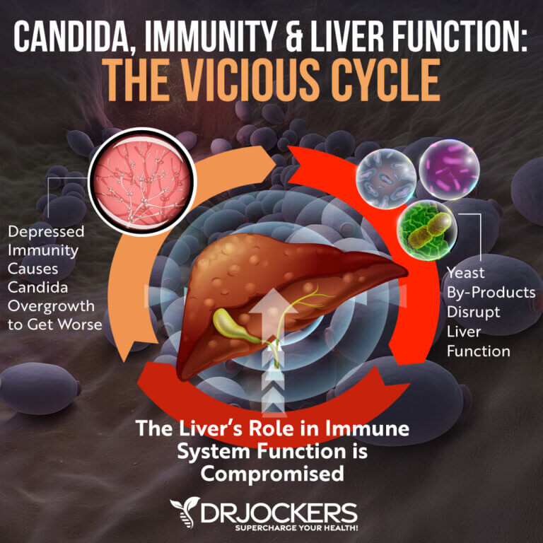 Candida Overgrowth: Best Home & Lab Tests - DrJockers.com