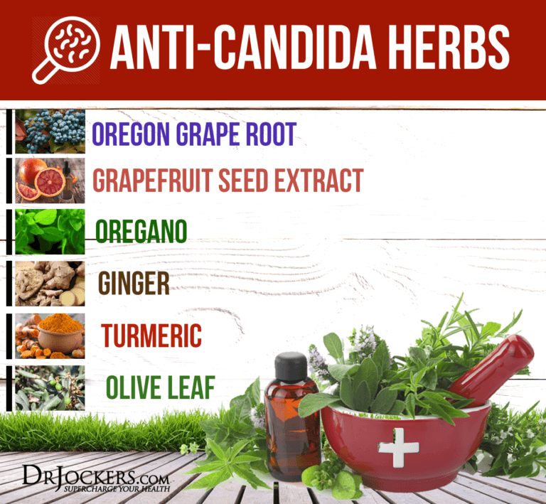 Candida Albicans: Top 10 Herbs and Supplements to Beat It