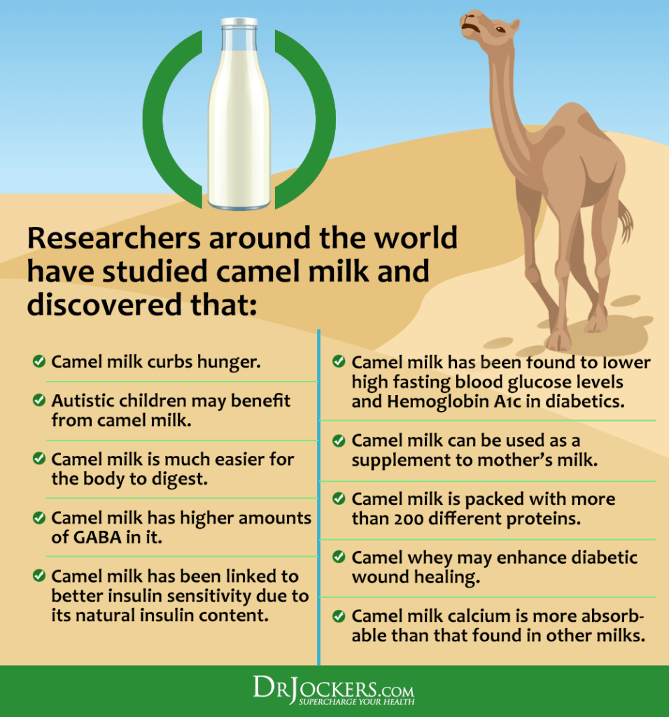 Camel Milk: 8 Benefits & Reasons to Give it a Try - DrJockers.com