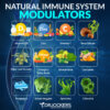 Immune Boosters: 12 Natural Immune System Modulators
